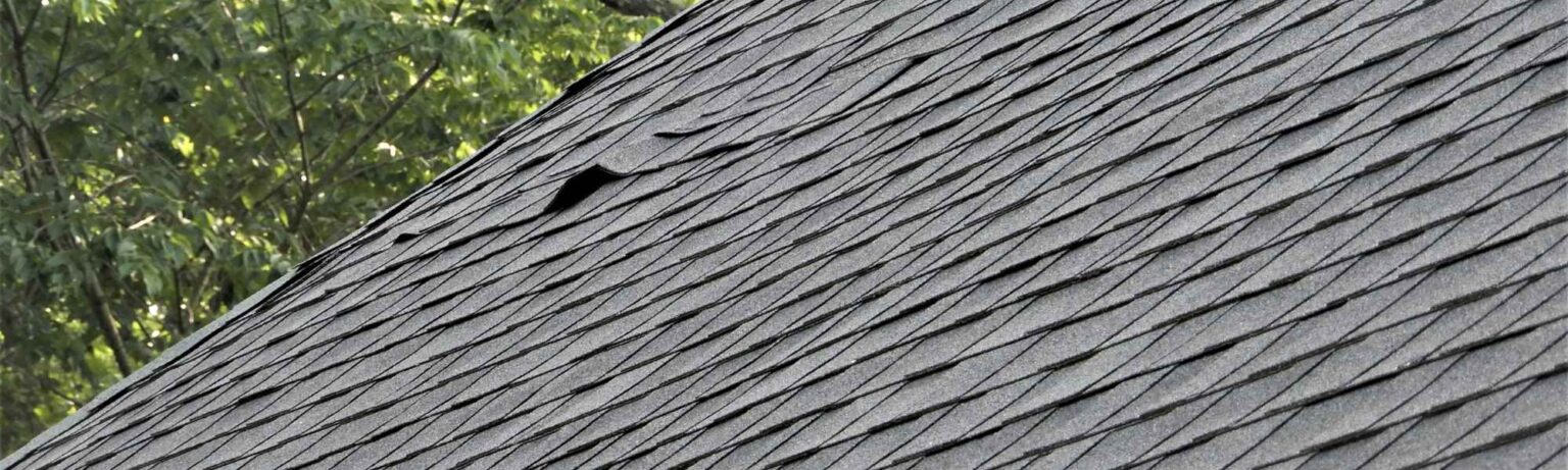 10 Essential Roofing Maintenance Tips For Homeowners In Florida Kings